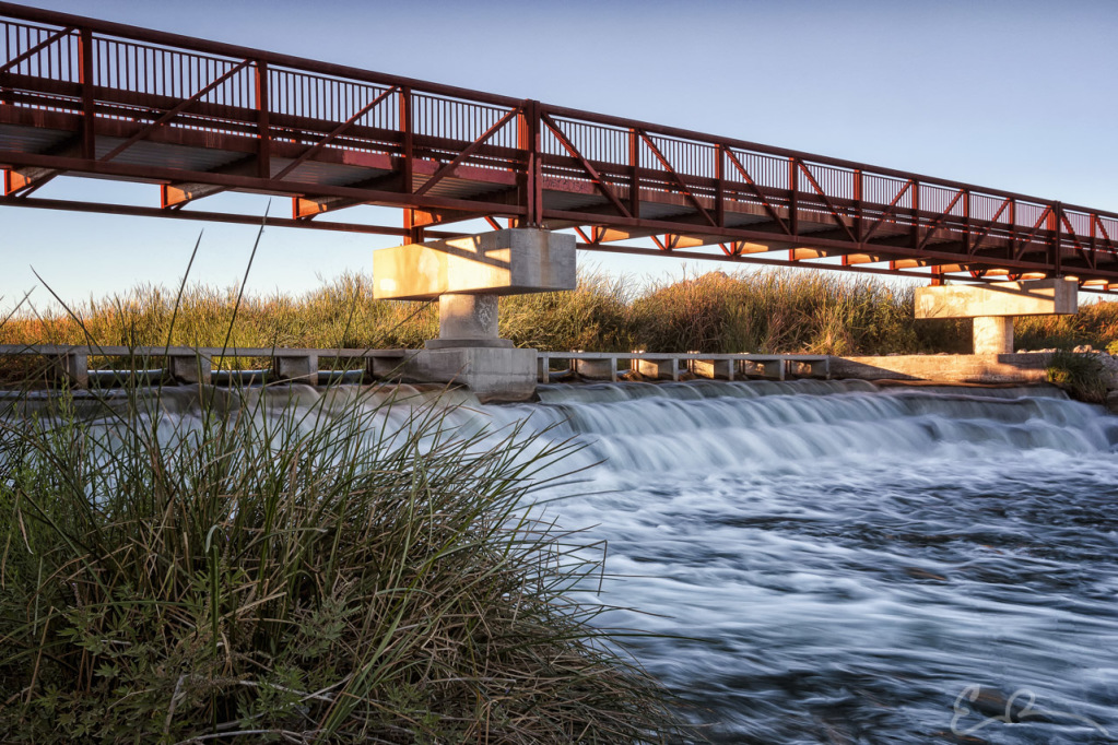 Wetlands Park Bridge I | Photography of Elvis Rowe